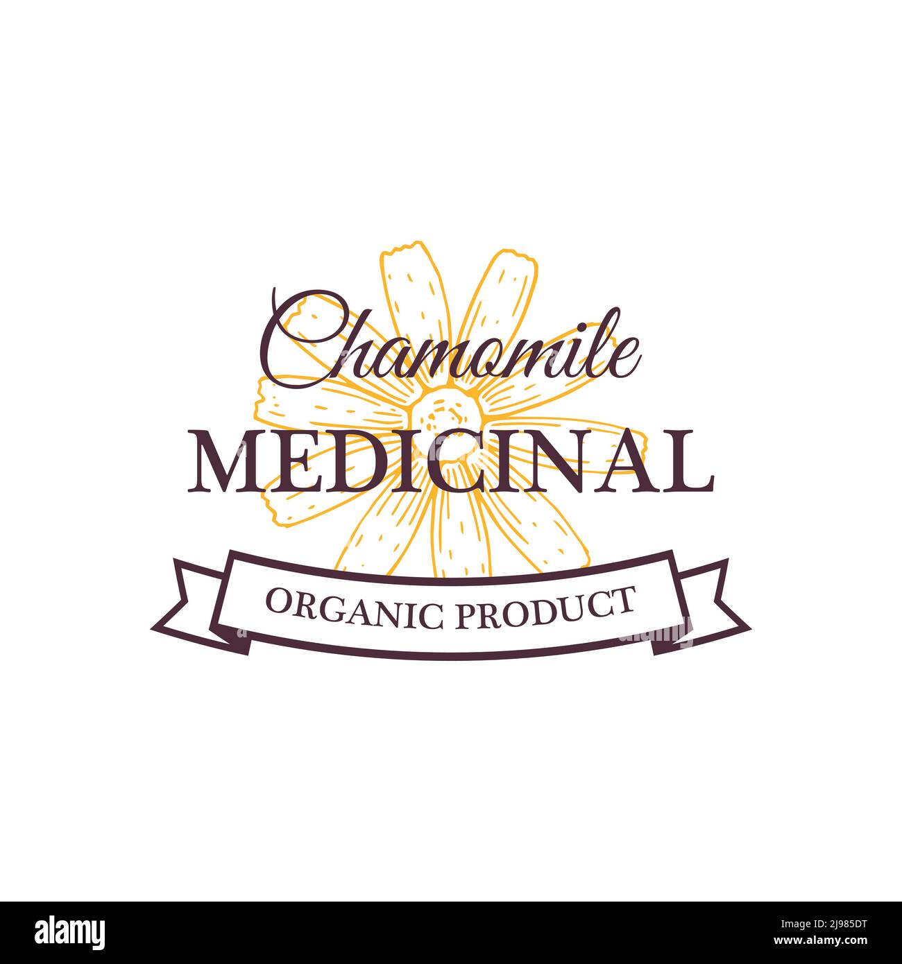 Hand drawn vintage chamomile logo isolated on white. Vector ...
