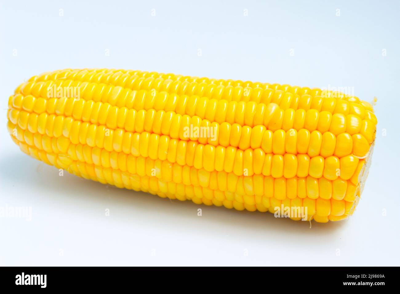 Sweet yellow corn isolated on white background Stock Photo - Alamy