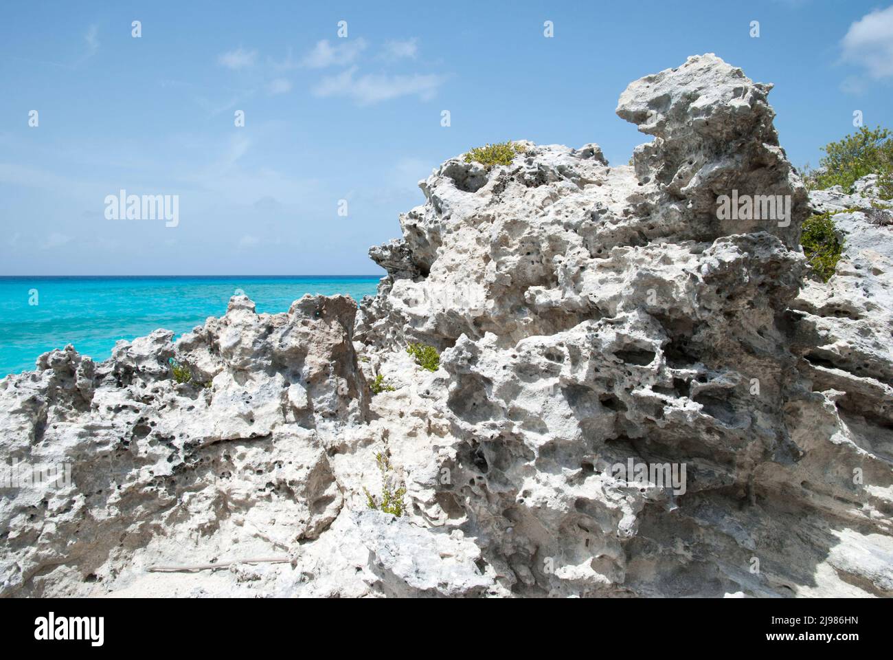 The eroded rock on Half Moon Cay uninhabited island shore (Bahamas ...