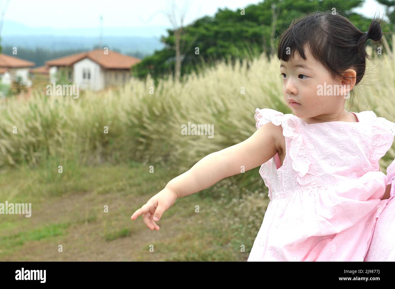 beautiful little girl points at blank space on the green scenery Stock ...