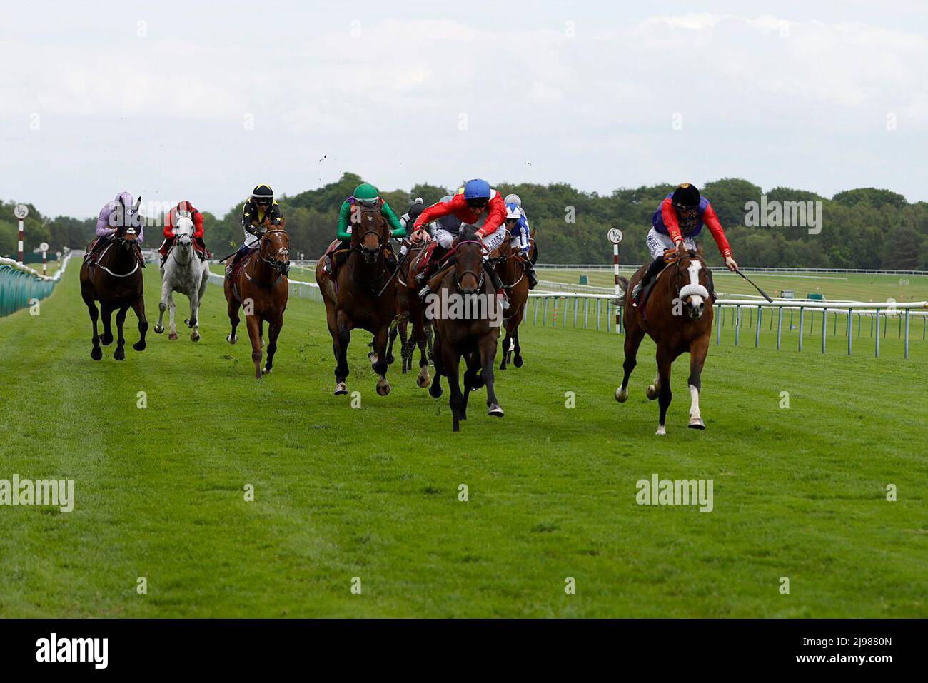 King's Lynn riden by David Probert (right)wins the Cazoo Temple Stakes ...