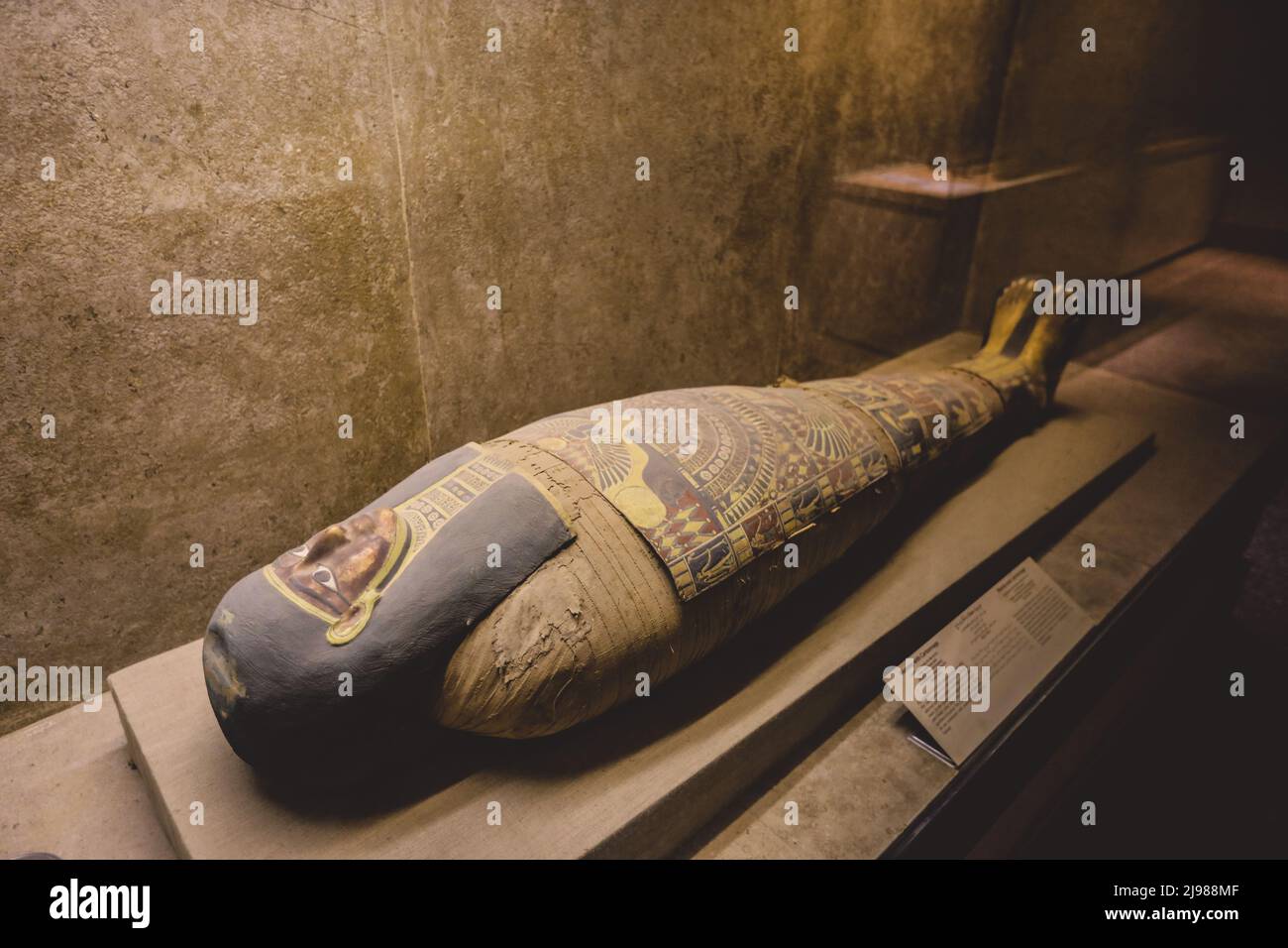 Ancient Egyptian exhibits in the Imhotep Museum, located near the ...