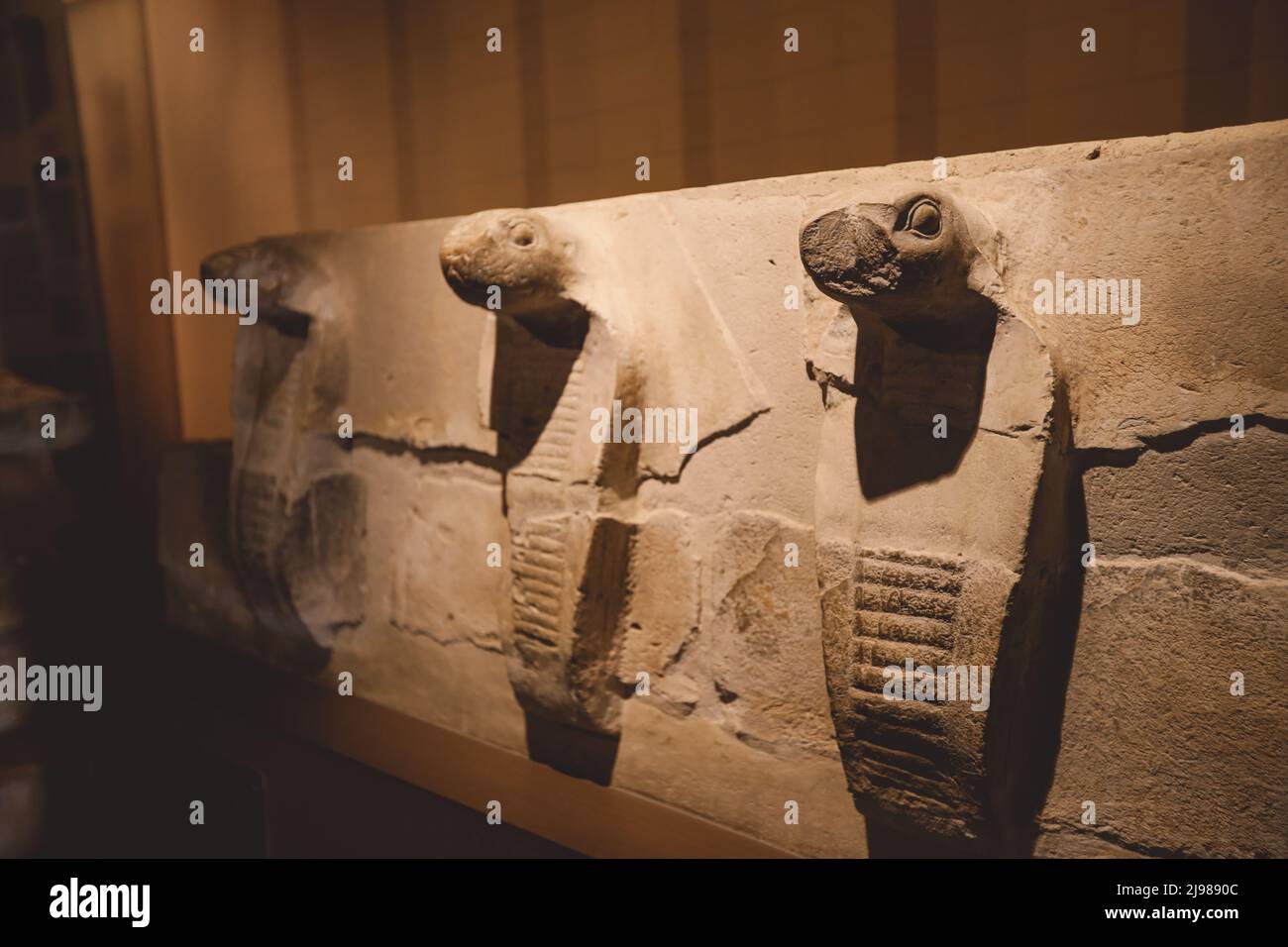 Ancient Egyptian exhibits in the Imhotep Museum, located near the ...