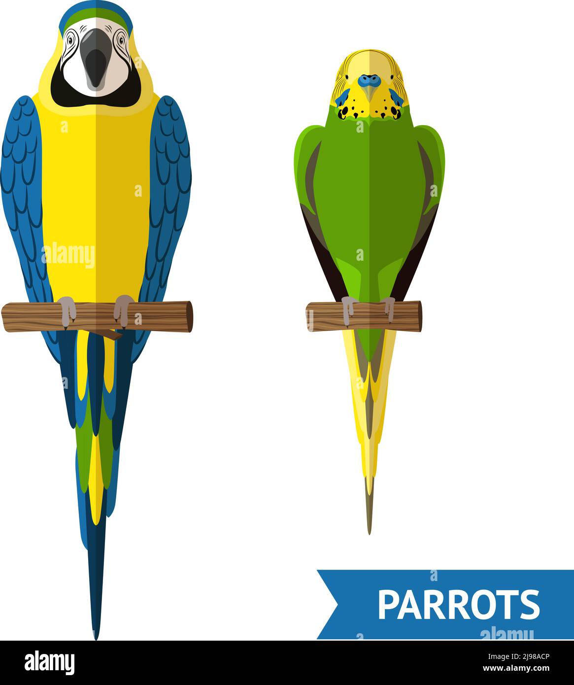 Two front view sitting parrots colorful flat decorative icons set ...