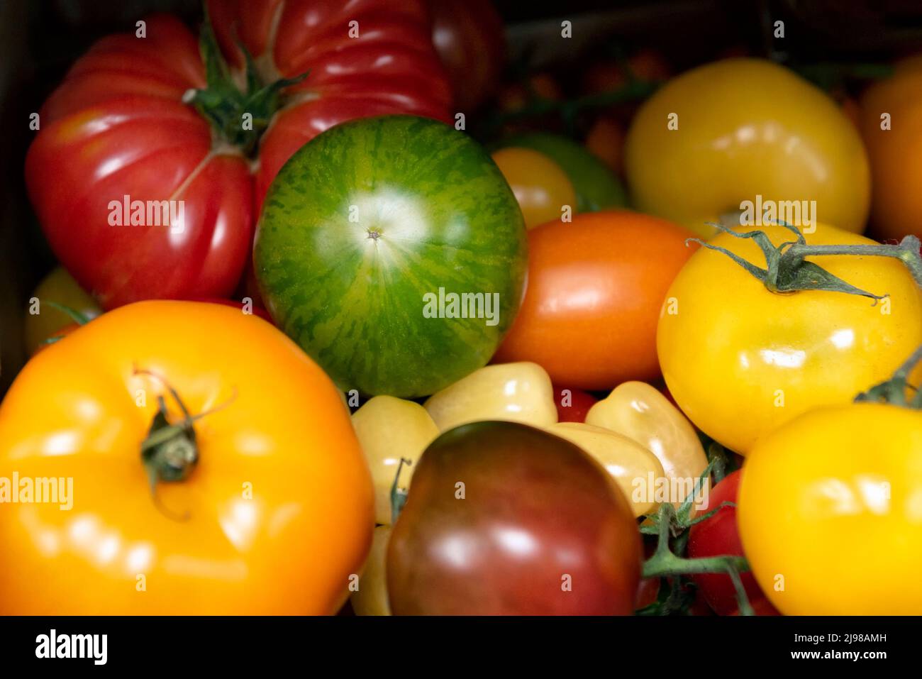 Selection of different varieties of tomatoes Stock Photo - Alamy