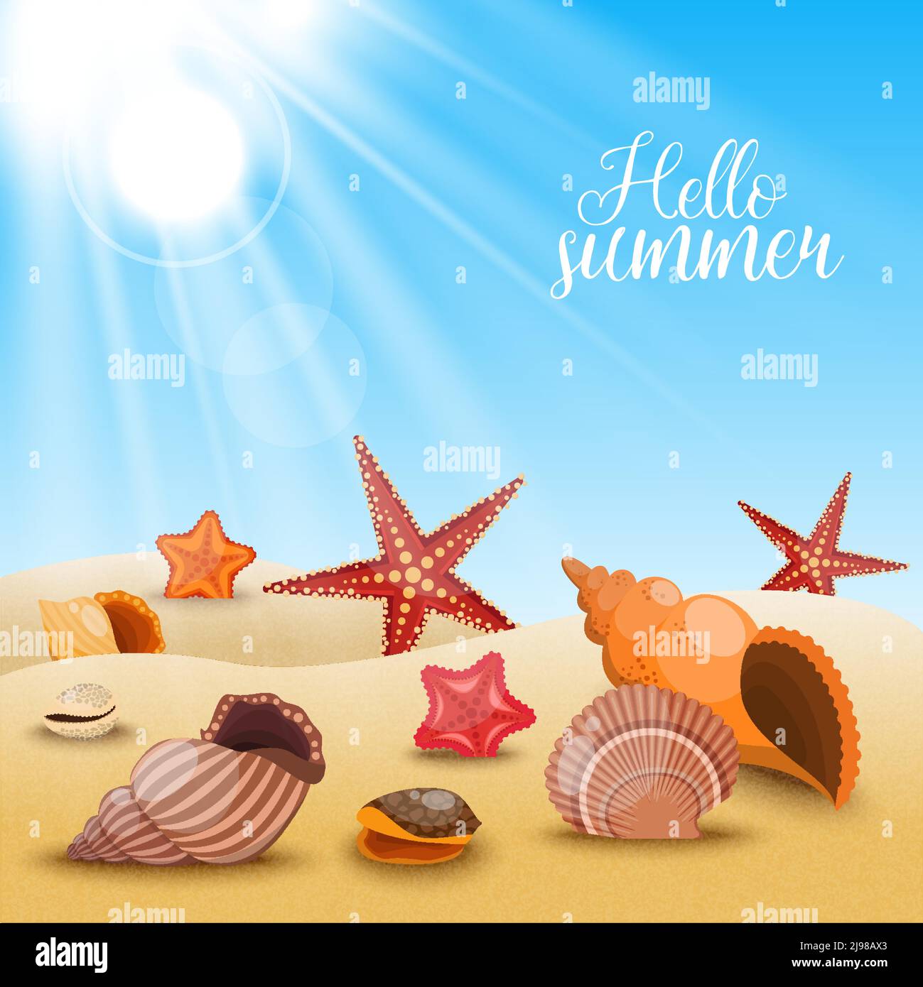 Starfishes on the beach composition shells and starfish on the sand and ...