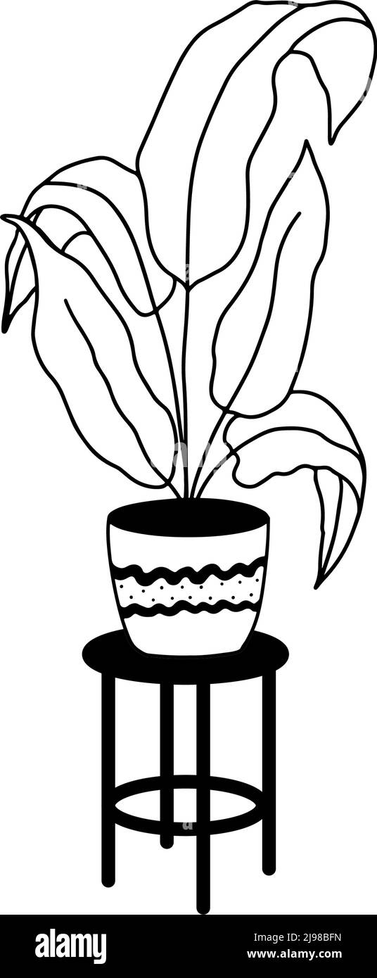 Potted flowers on a stand, home decor. Freehand drawing, linear black ...
