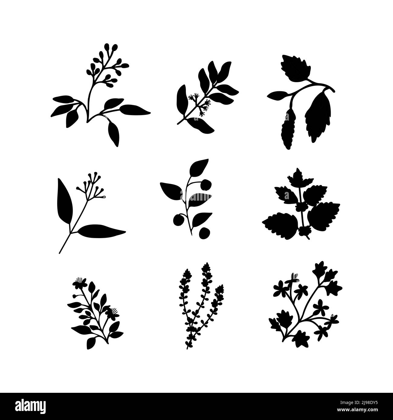 Black vector simple plants set Stock Vector Image & Art - Alamy