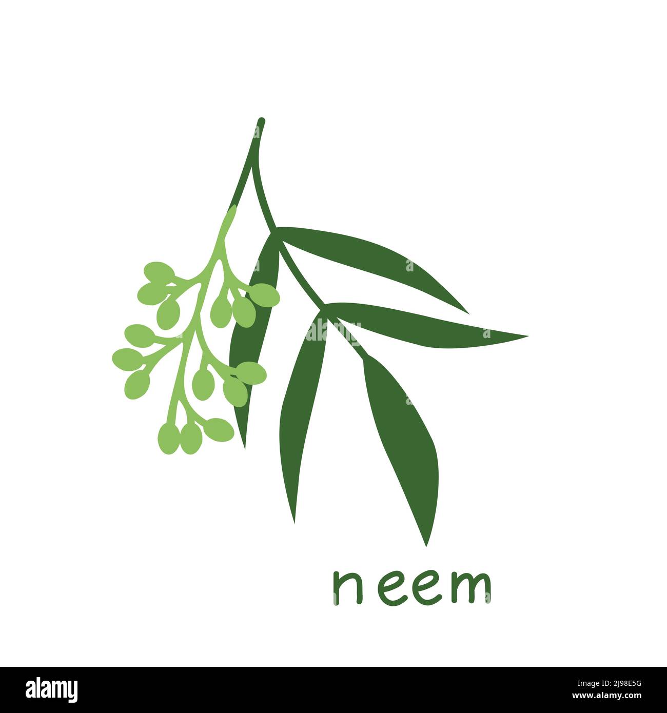 Neem Stock Vector Images - Alamy