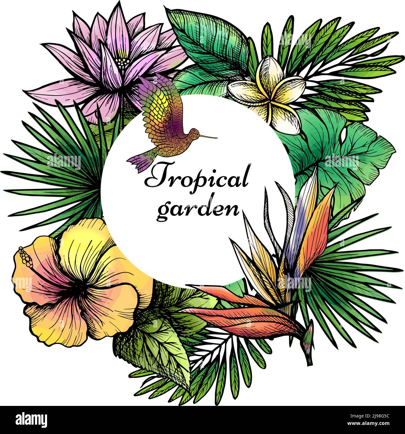 Tropical frame design with hand drawn birds and exotic flower leaves ...