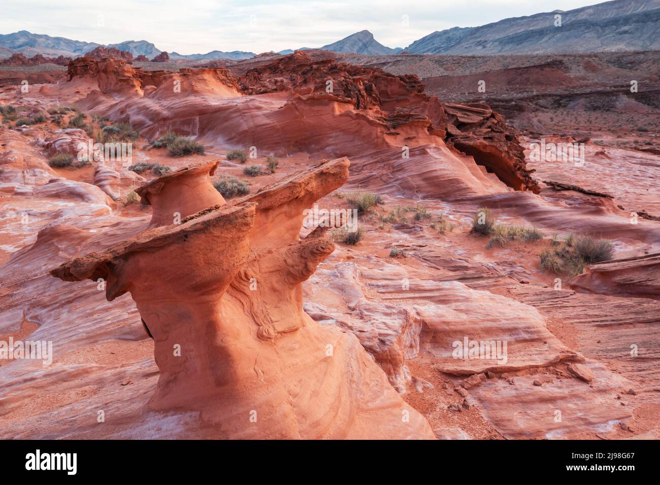 Little Finland near Mesquite, Nevada, USA Stock Photo - Alamy