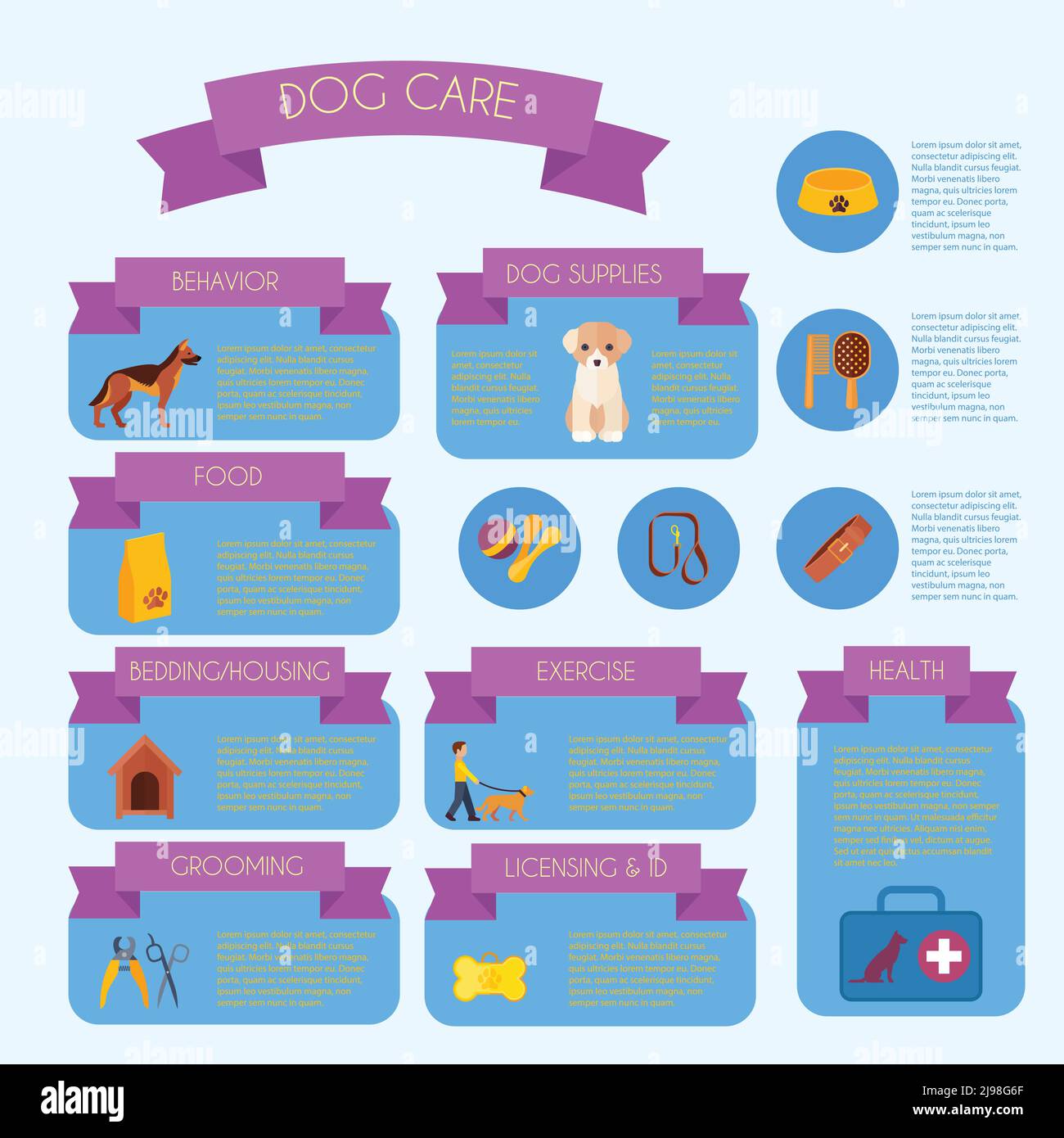 Dog care infographic banner with health care and behavior trainings ...