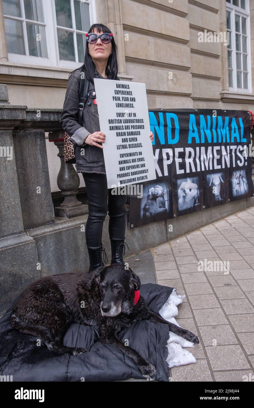 End vivisection hi-res stock photography and images - Alamy