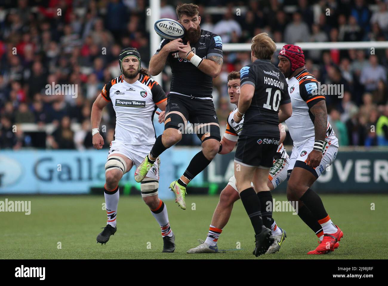 NEWCASTLE UPON TYNE, UK. MAY 21ST Newcastle Falcon's Gary Graham jumps ...