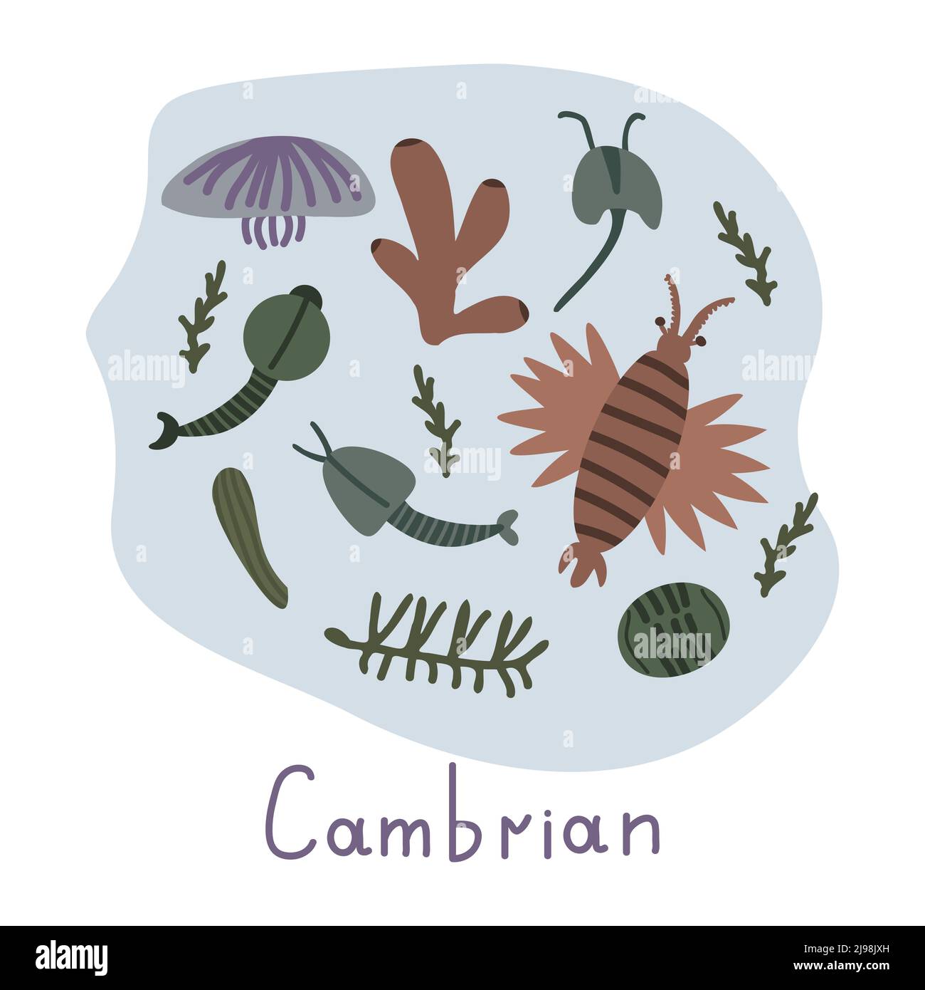 Cambrian era animals hi-res stock photography and images - Alamy