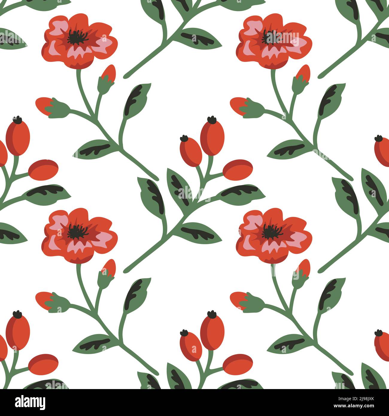 Rosehip on white background Stock Vector Images - Alamy