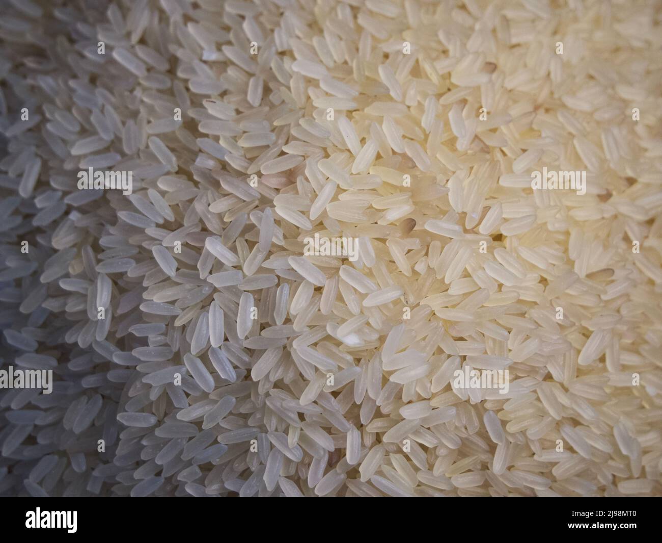 Rice grains, close-up shot. A scattering of rice as a background Stock ...