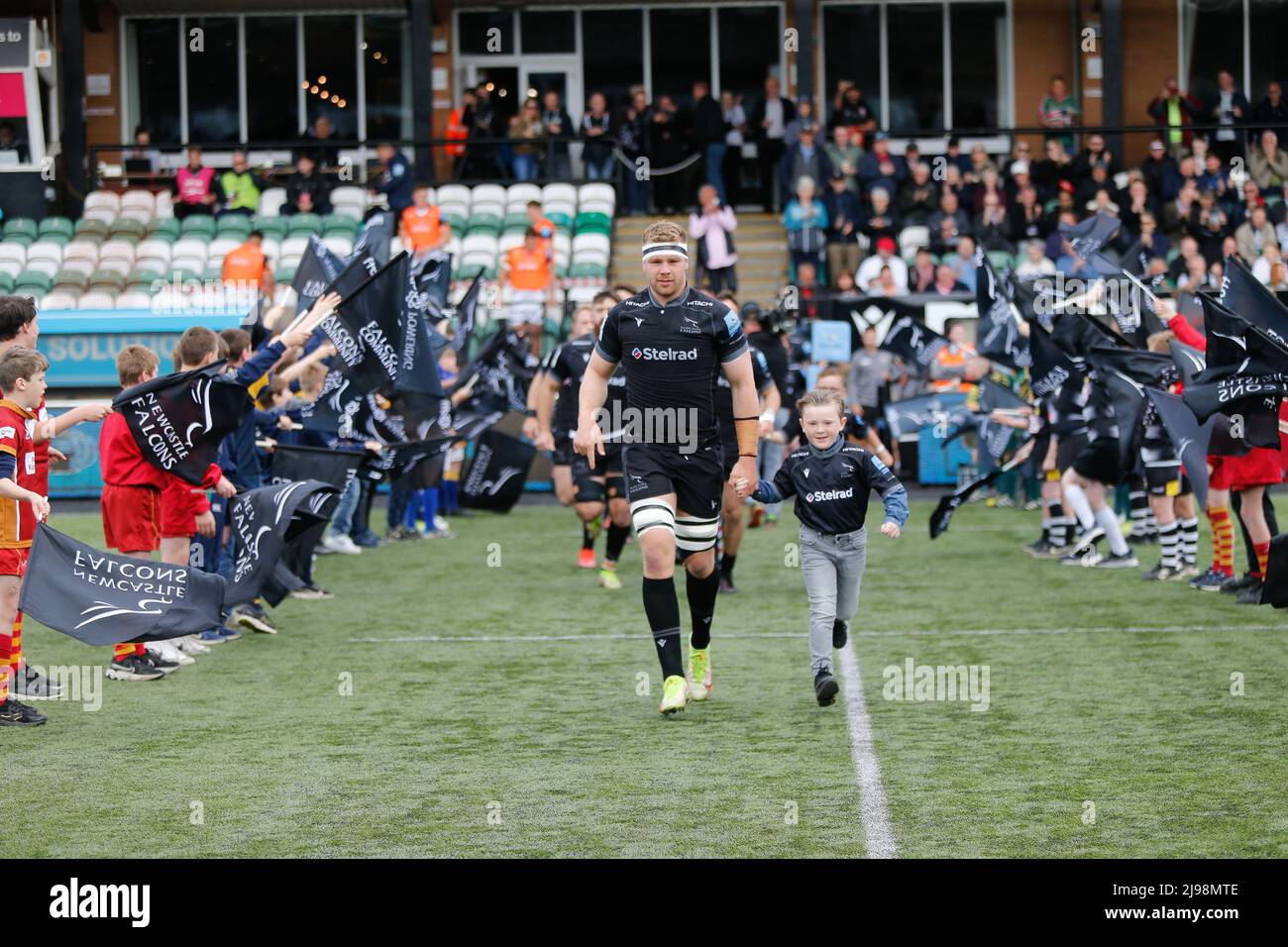 Leicester tigers mascot 2022 hi-res stock photography and images - Alamy