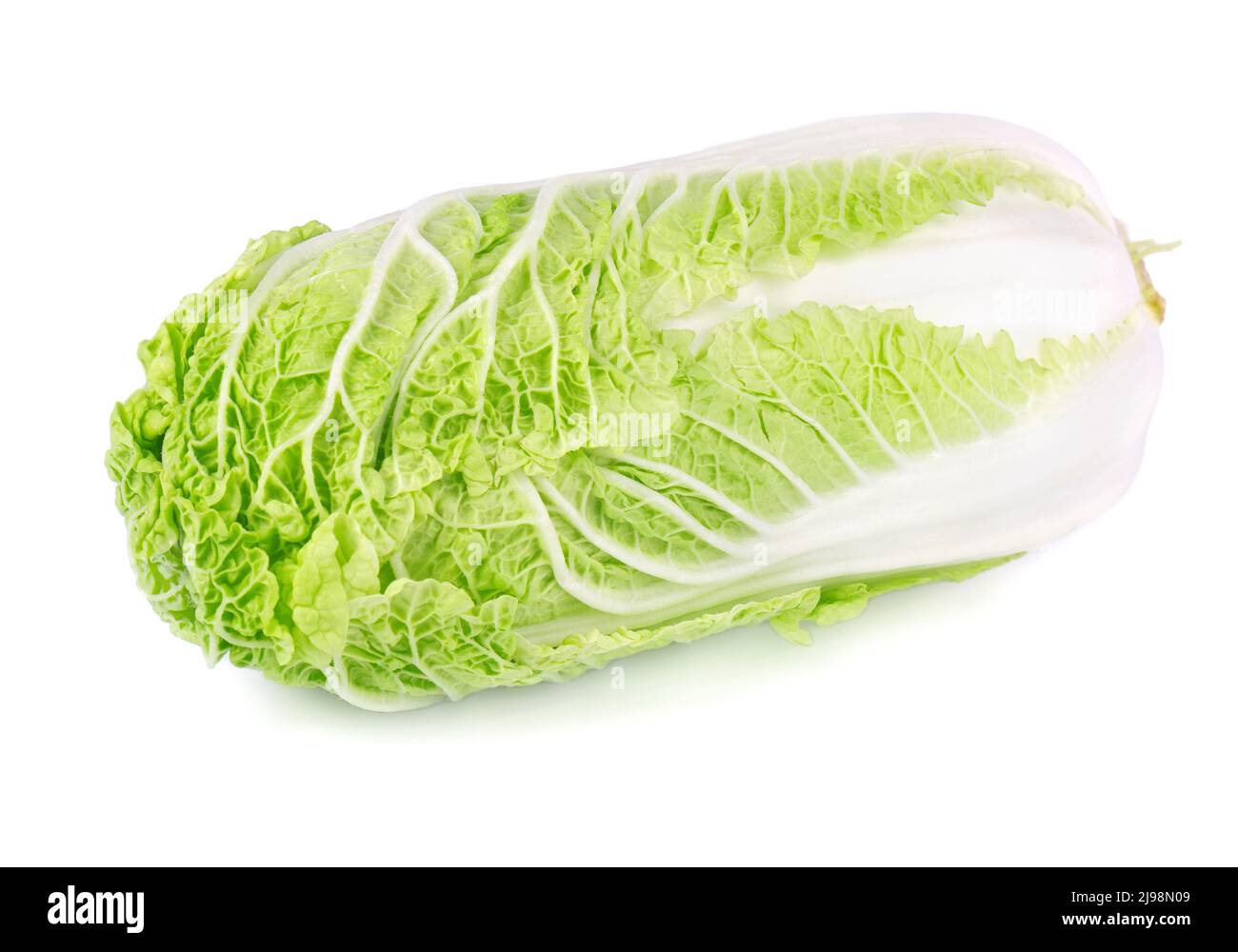 Fresh chinese cabbage isolated on white background Stock Photo - Alamy