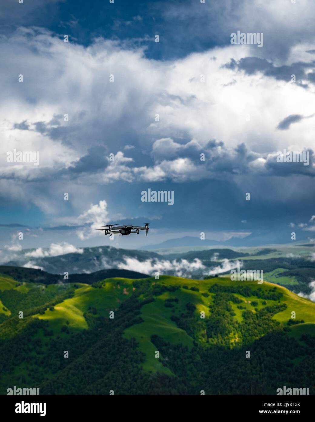 Drone flying in forest with green trees in summer Stock Photo - Alamy