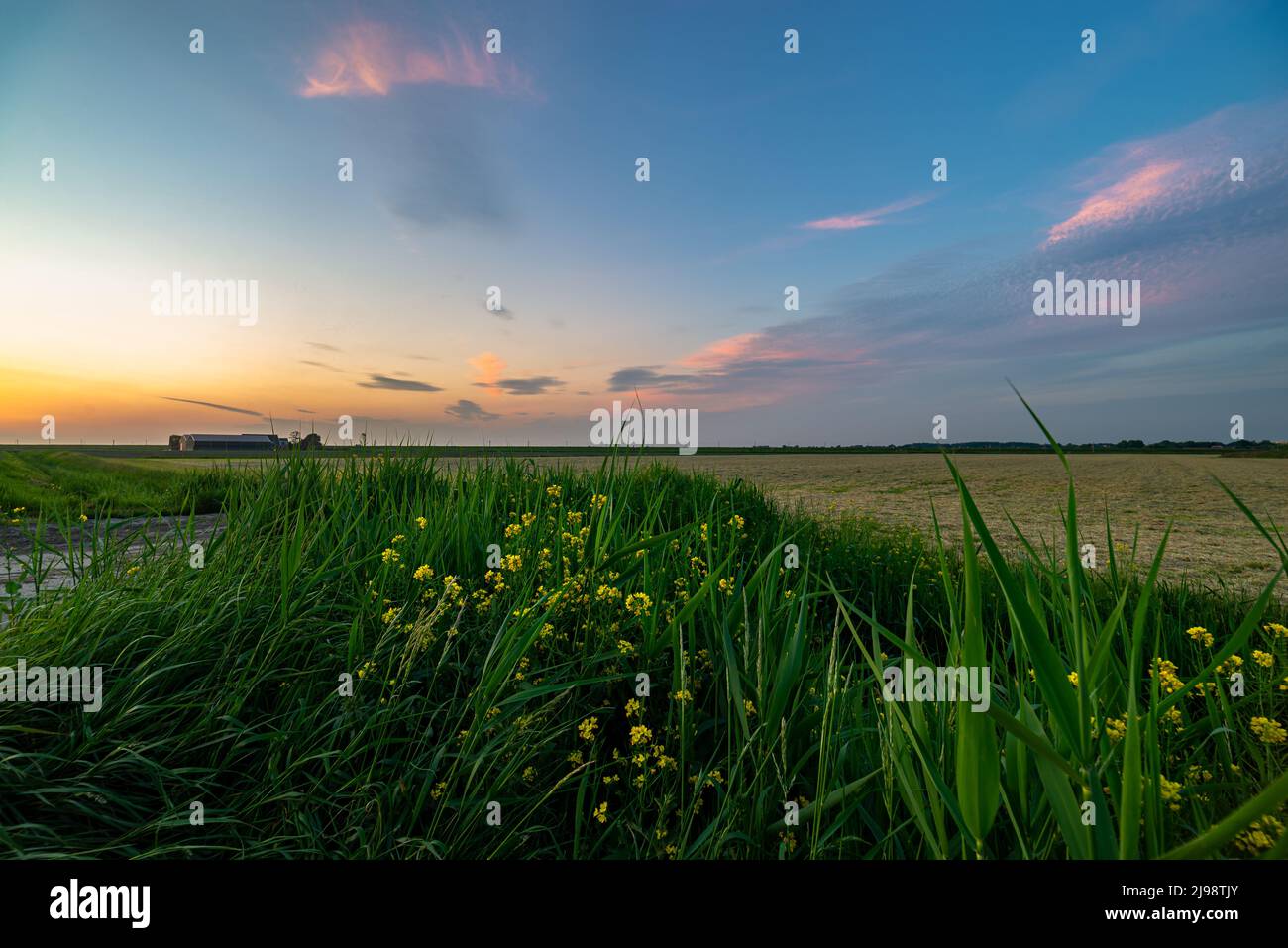Netherlands plains sunset hi-res stock photography and images - Alamy