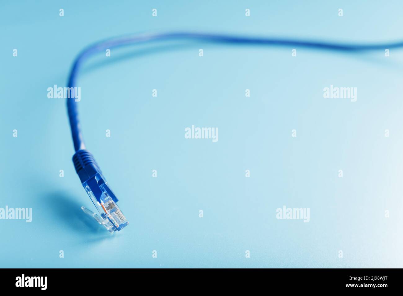 Blue Ethernet Cable Connectors Patch cord cord close-up isolated on a blue background with free ...
