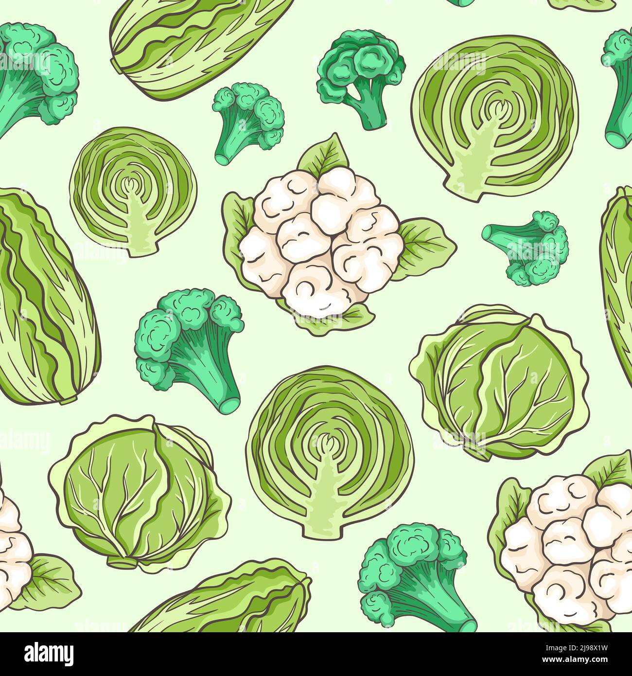 Seamless pattern with green cabbage and cauliflower. Hand drawn ...