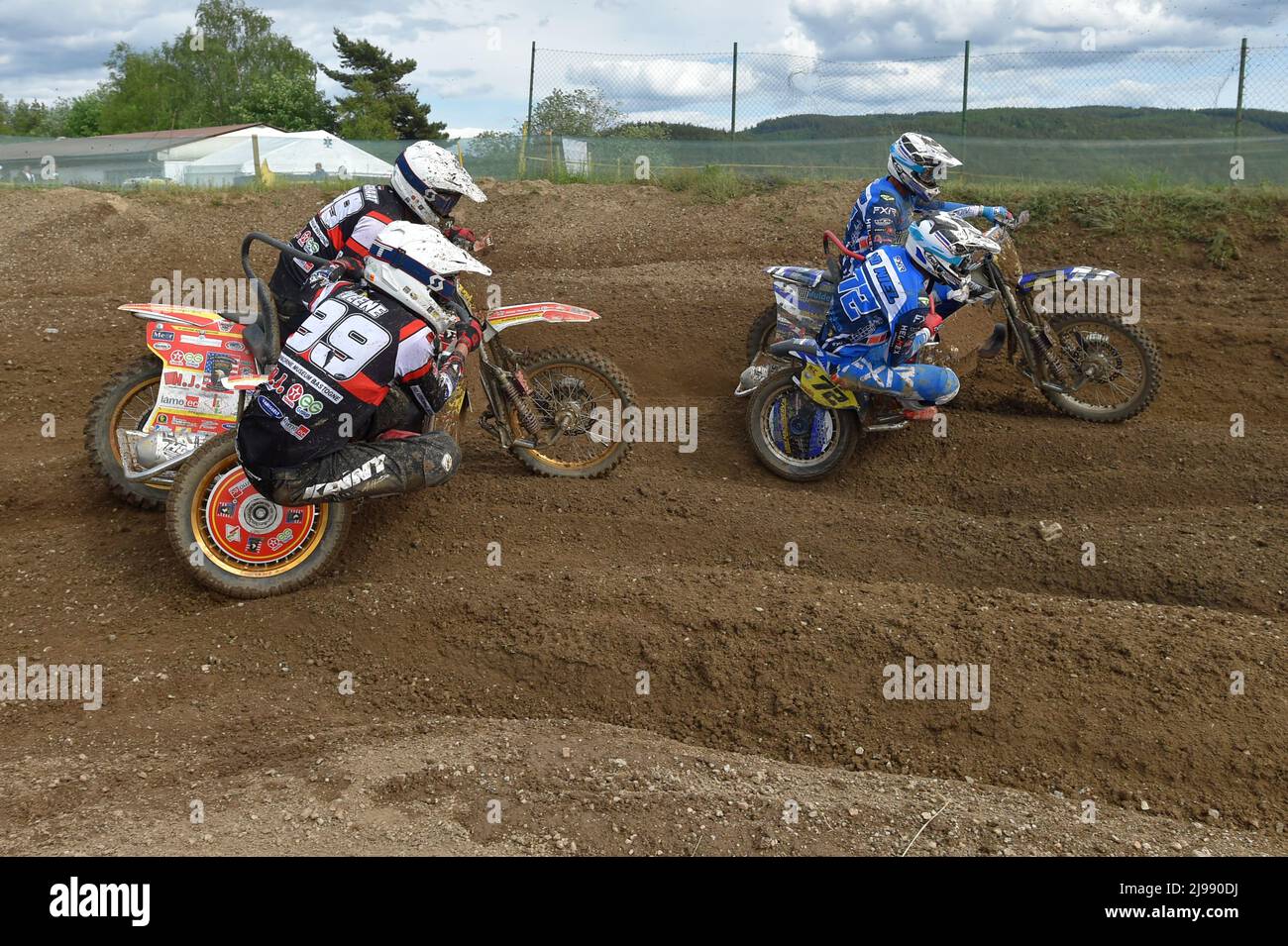 Robbe r hi-res stock photography and images - Alamy