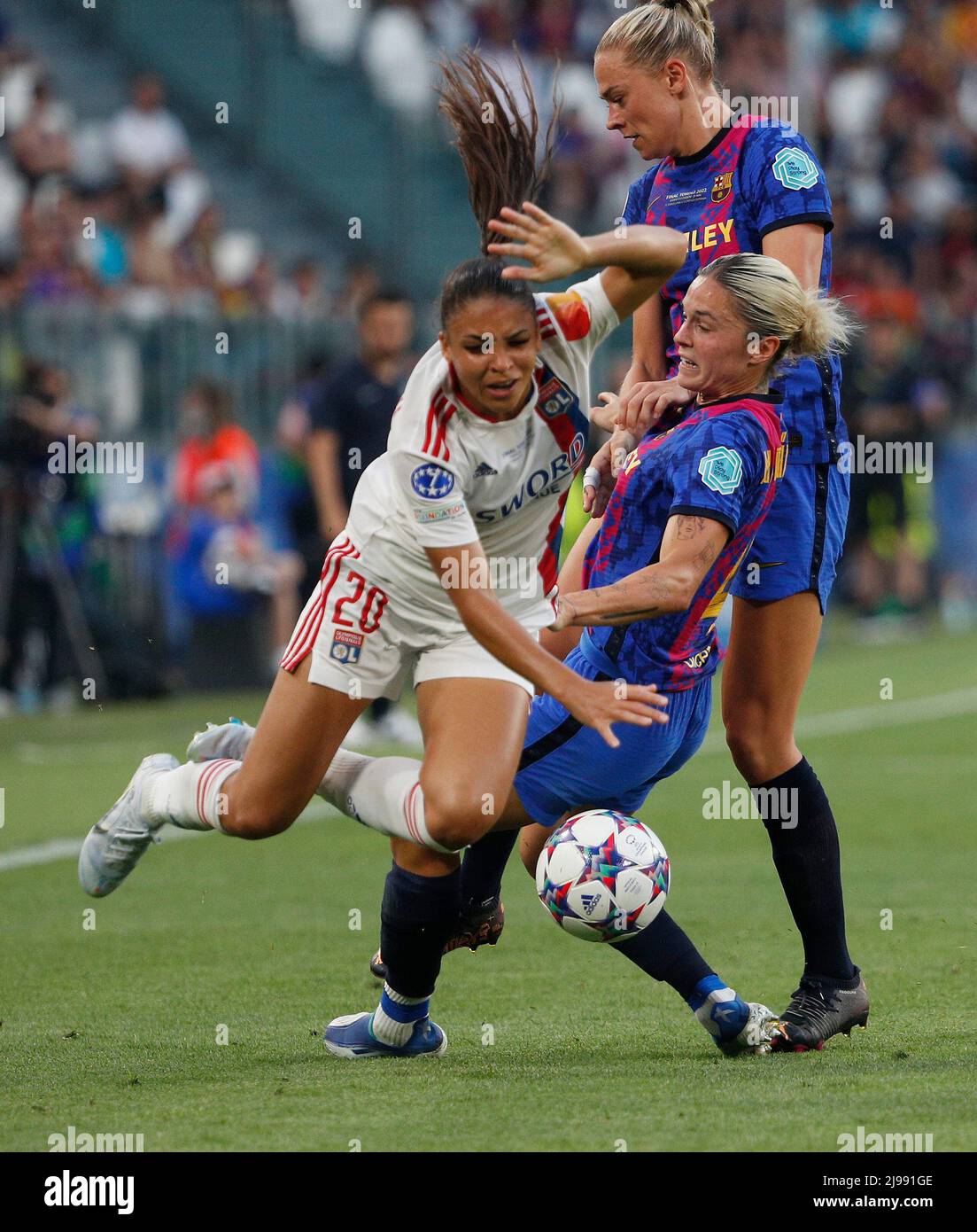 Mapi león hi-res stock photography and images - Alamy