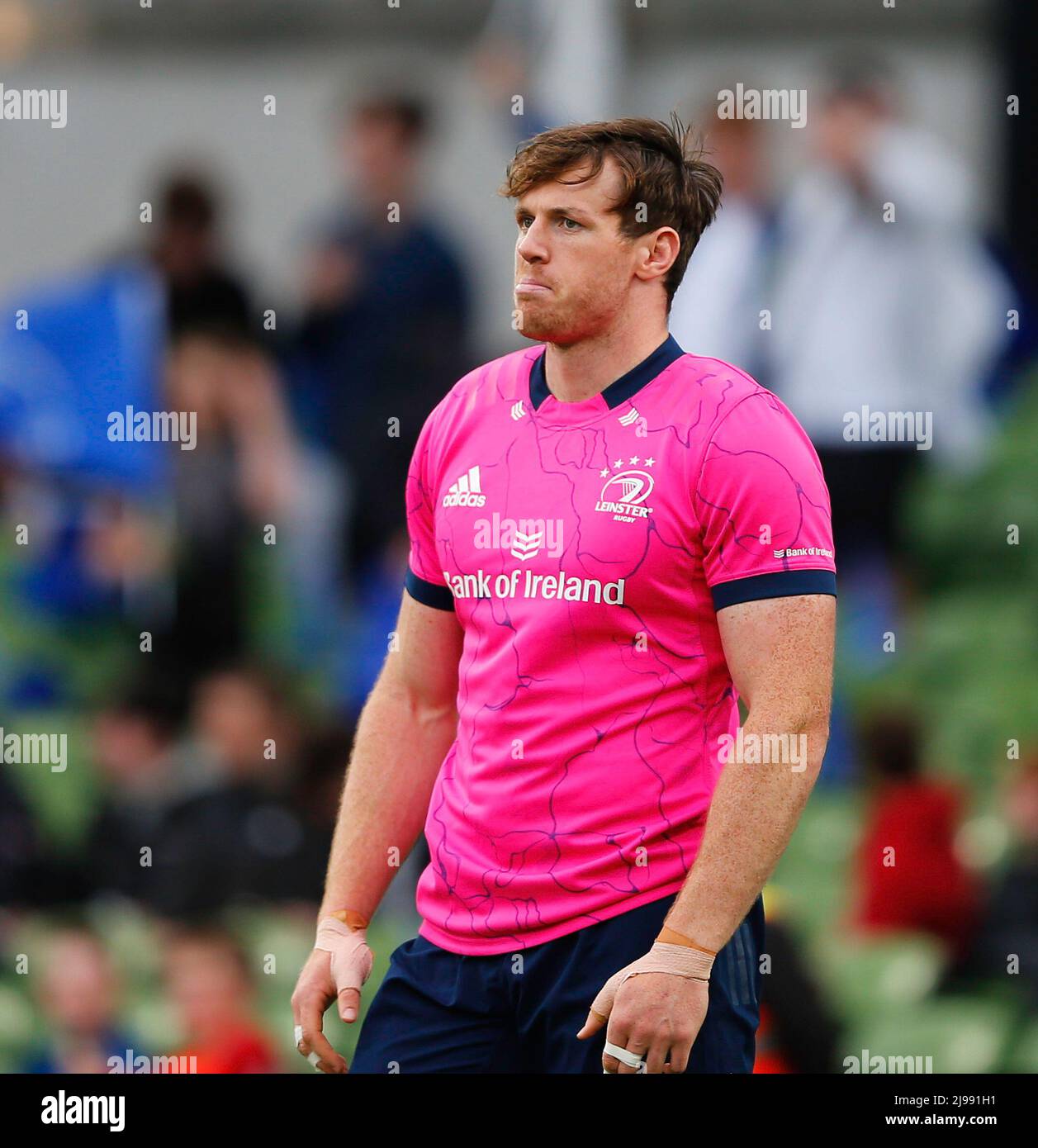 Leinster rugby baird hi-res stock photography and images - Alamy