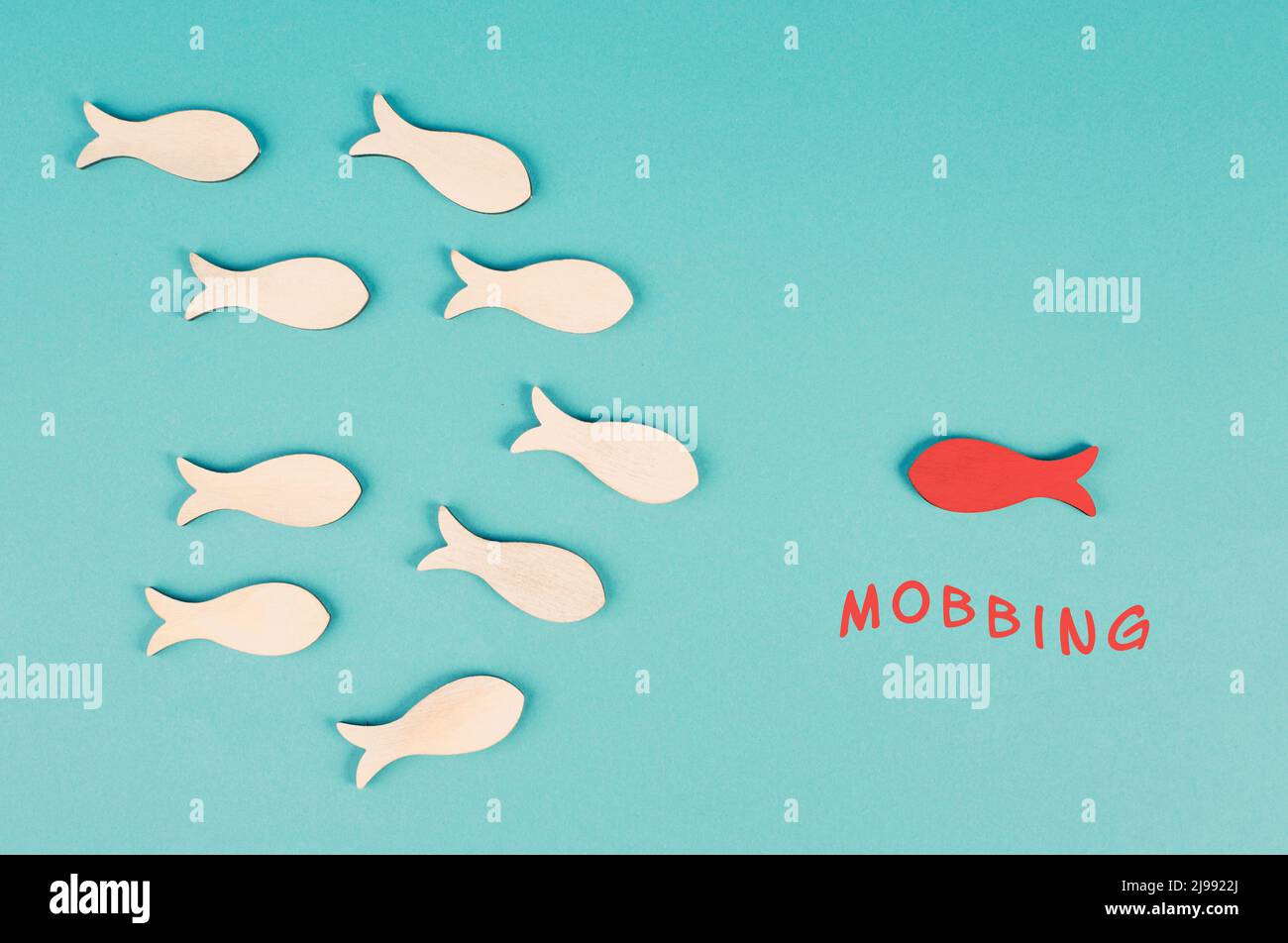 Group of fish mobbing a victim, social conflict, bullying one ...