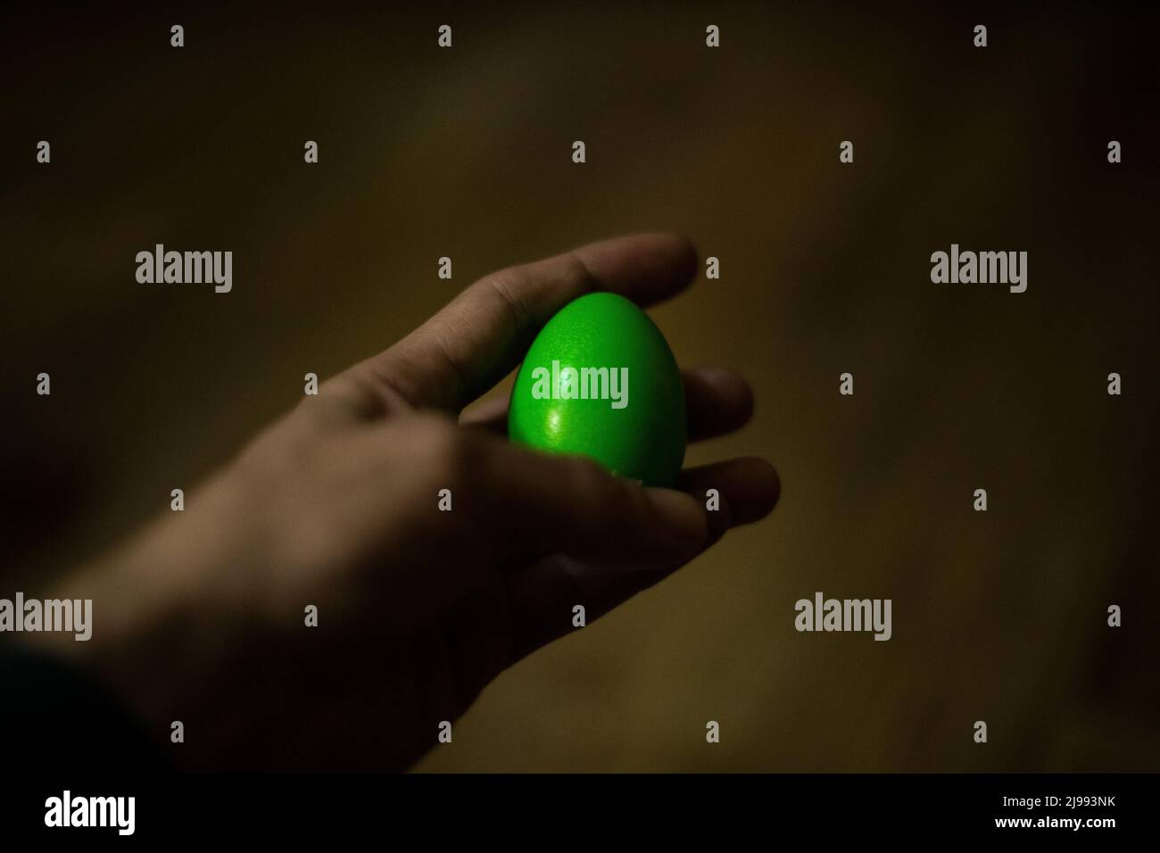 Green shaker. Noise musical instrument. Green egg made of plastic Stock ...