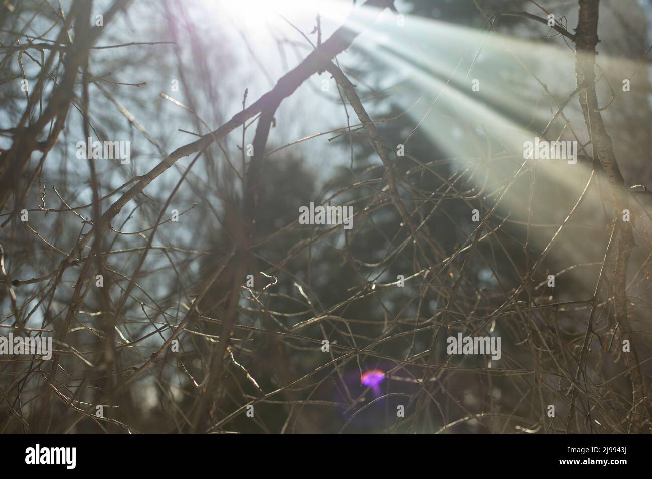 Beautiful bright lens glare hi-res stock photography and images - Alamy