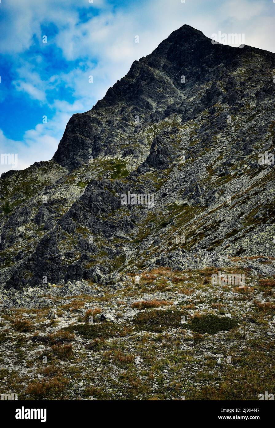landscape detail background a spiky rock top Stock Photo - Alamy