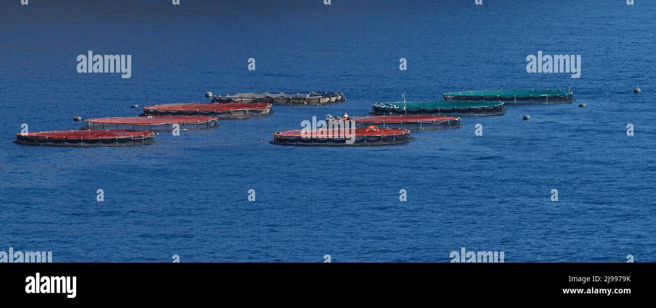Fish farms in the open sea for breeding fish and other marine animals ...