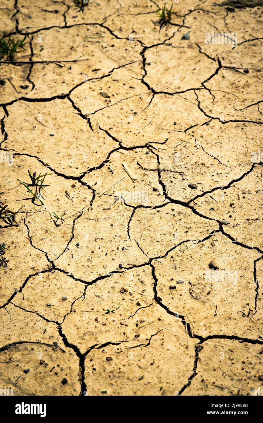 background or texture Cracked dry sandy soil Stock Photo - Alamy