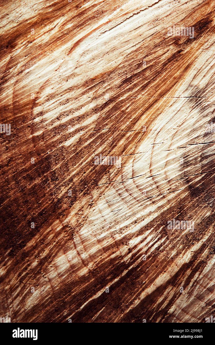 abstract background or texture cut wood grooves Stock Photo - Alamy