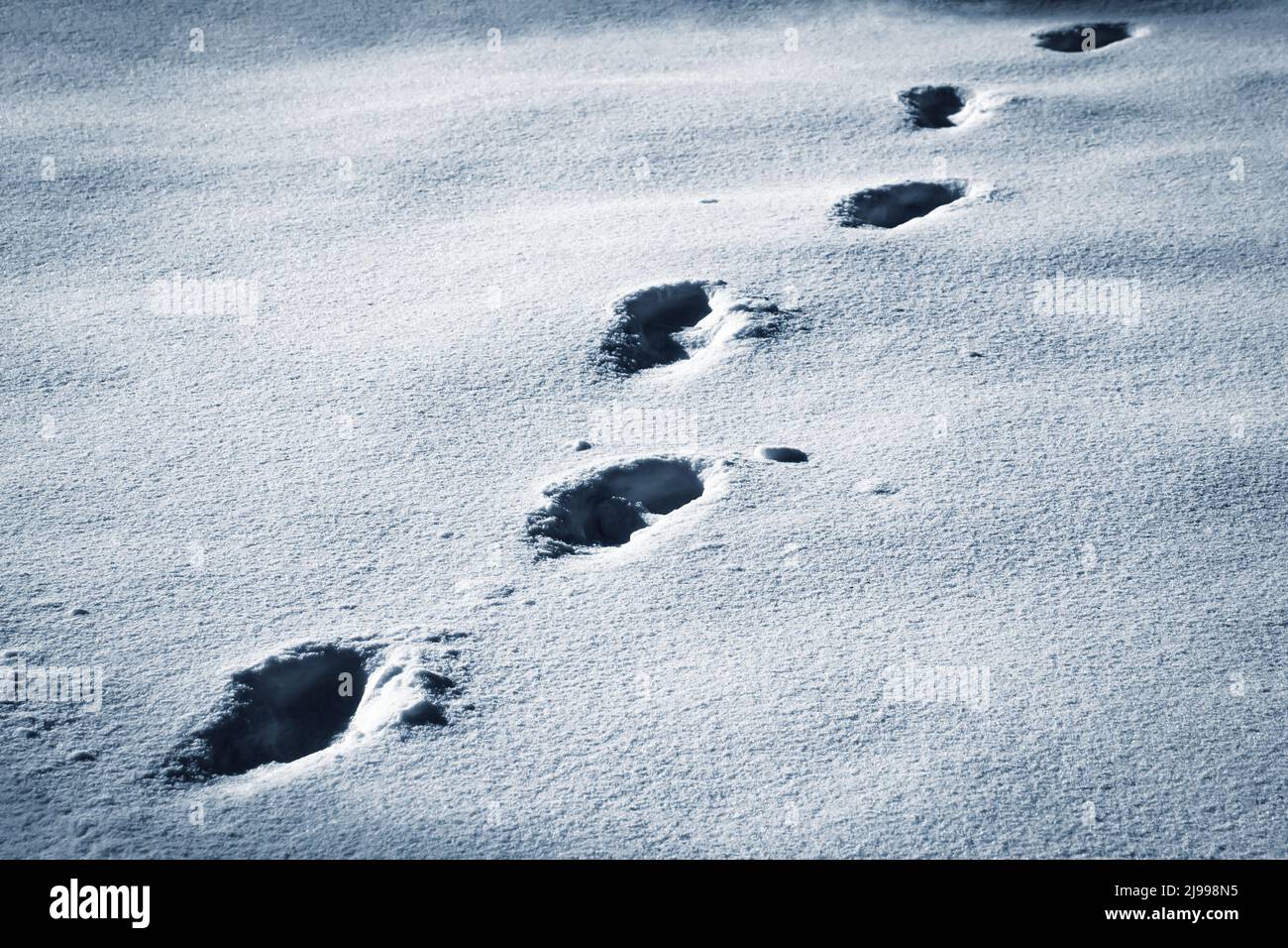 seasonal background dark footprints walking on snow Stock Photo - Alamy