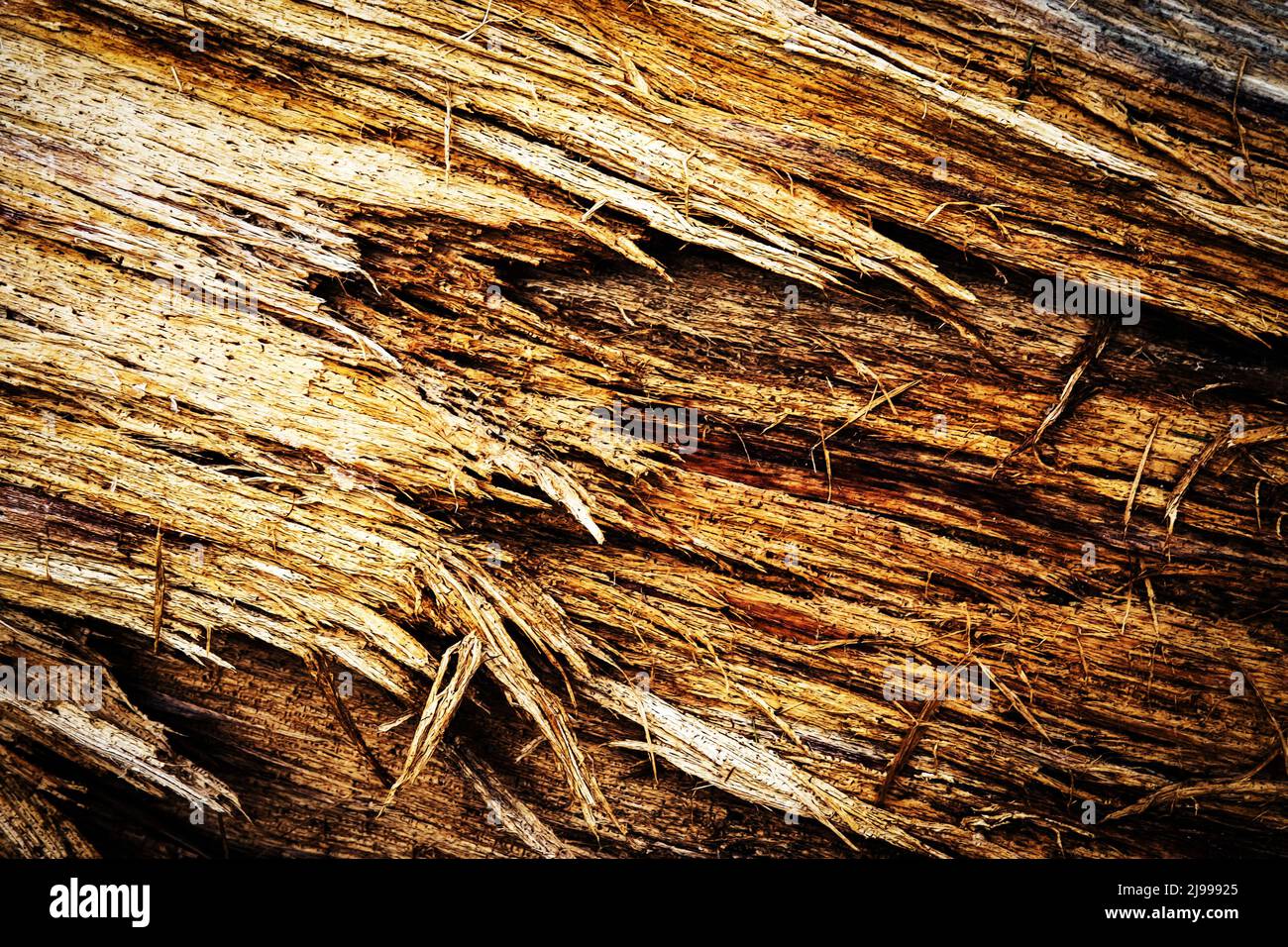 Decayed wood hi-res stock photography and images - Alamy