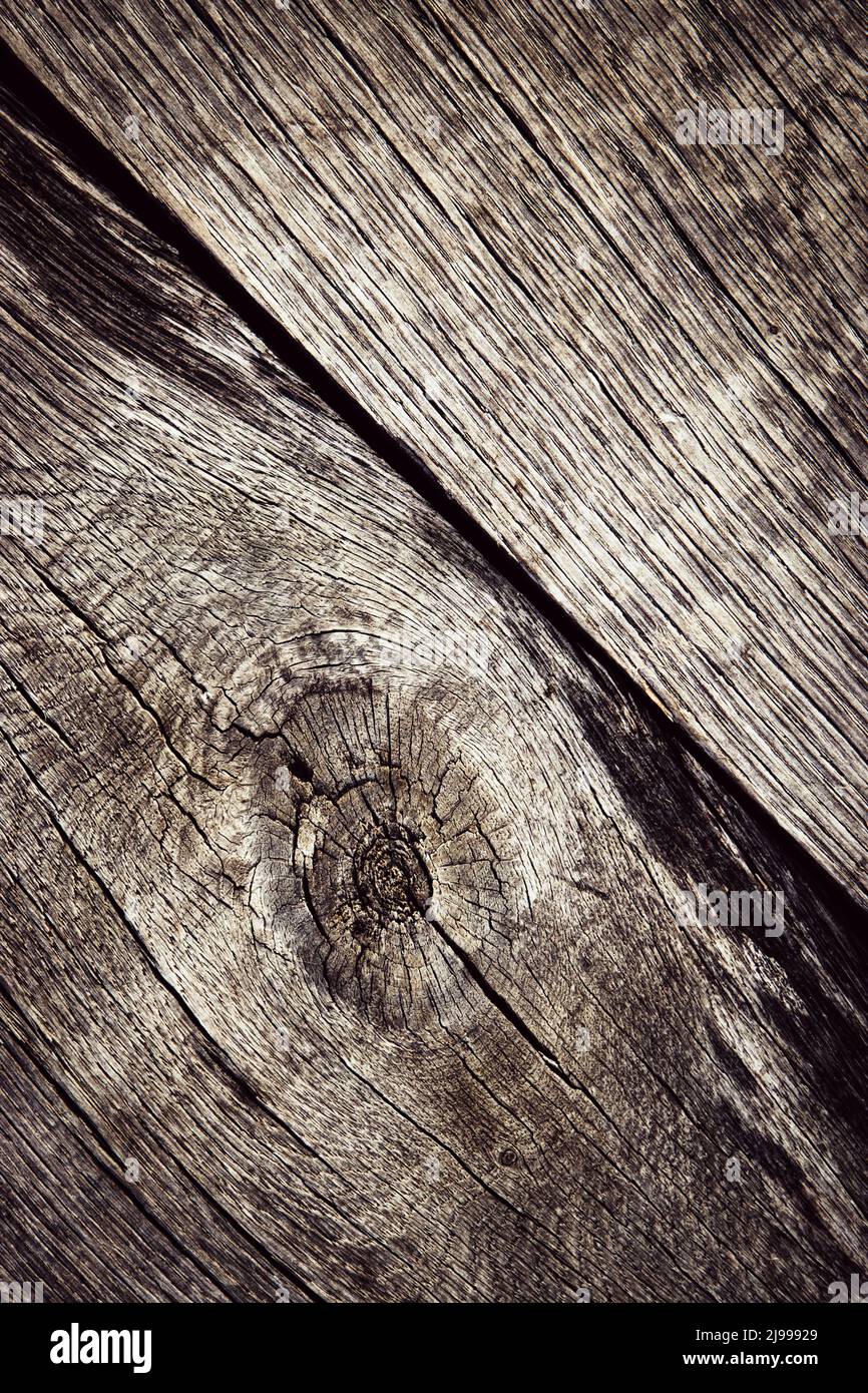 abstract background or texture detail drawing of oak wood Stock Photo ...