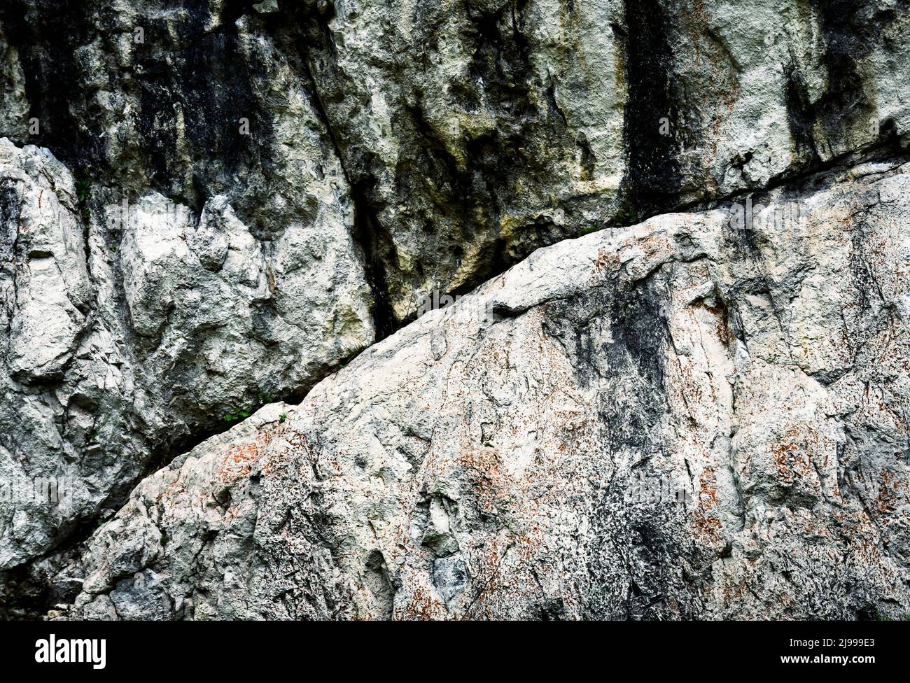 abstract background or texture Detail of a limestone rock with a line ...
