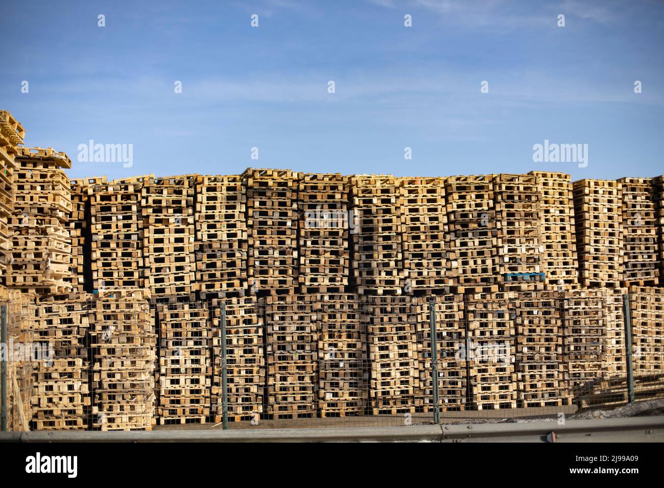 Lots of pallets. Warehouse of wooden pallets. Boarding. Lots of stacks ...