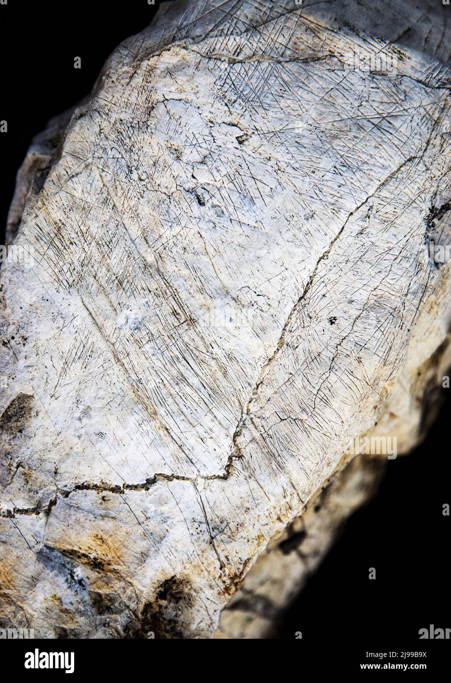 abstract background detail of prehistoric limestone with scratches ...