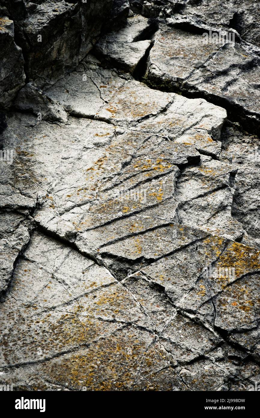 background or texture detail of the limestone climbing rock Stock Photo ...