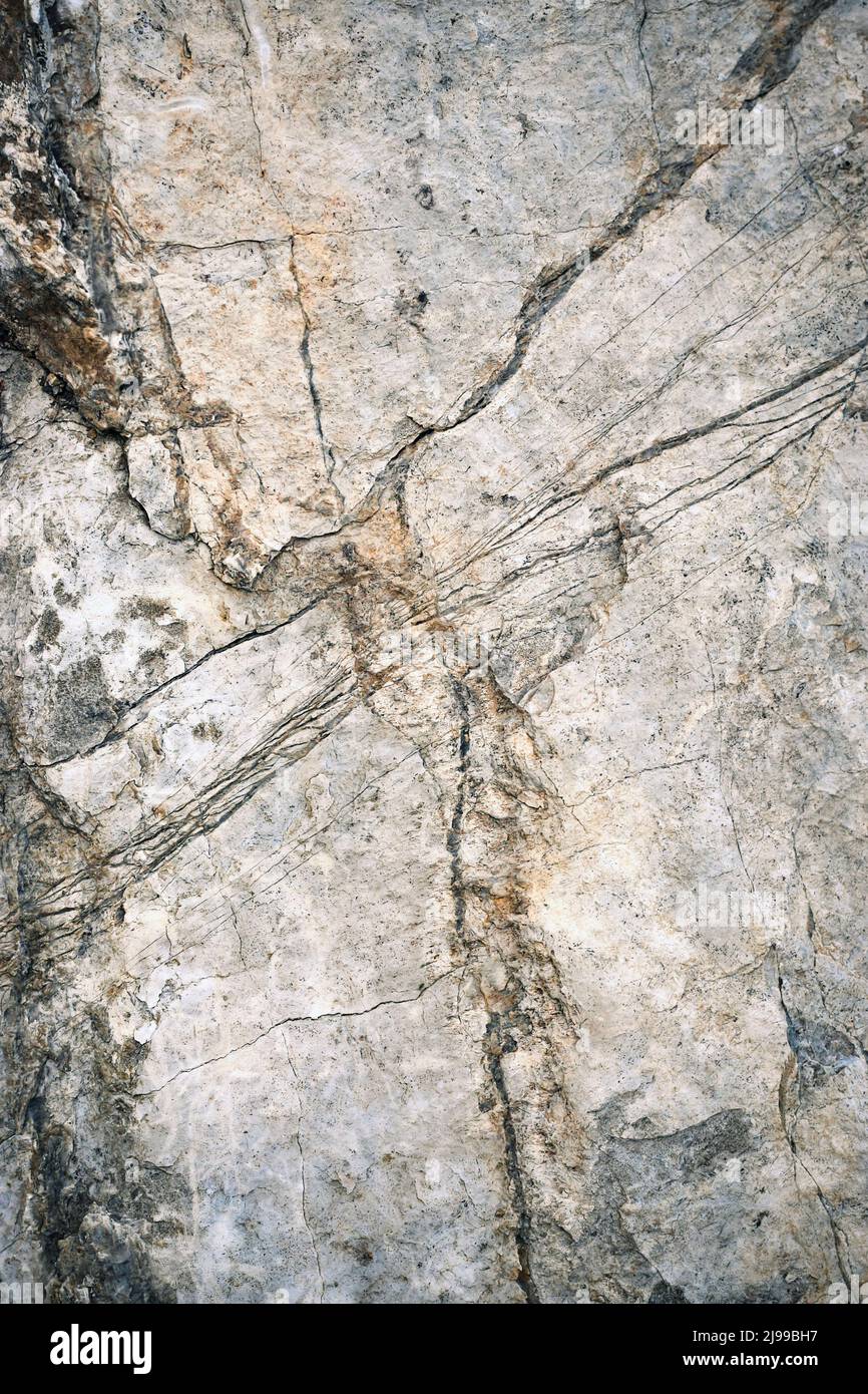 background or texture detail limestone rock with grooves Stock Photo ...