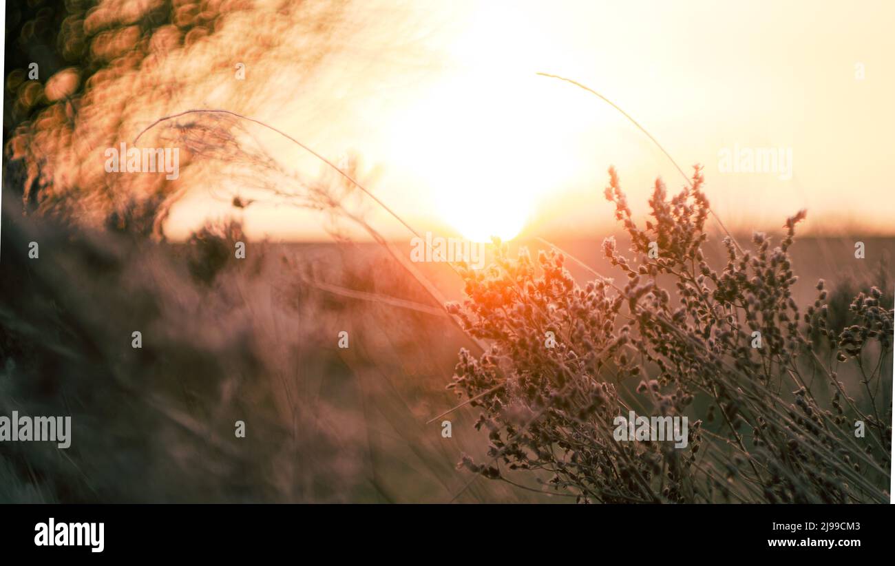 Photo picture sun setting hi-res stock photography and images - Alamy