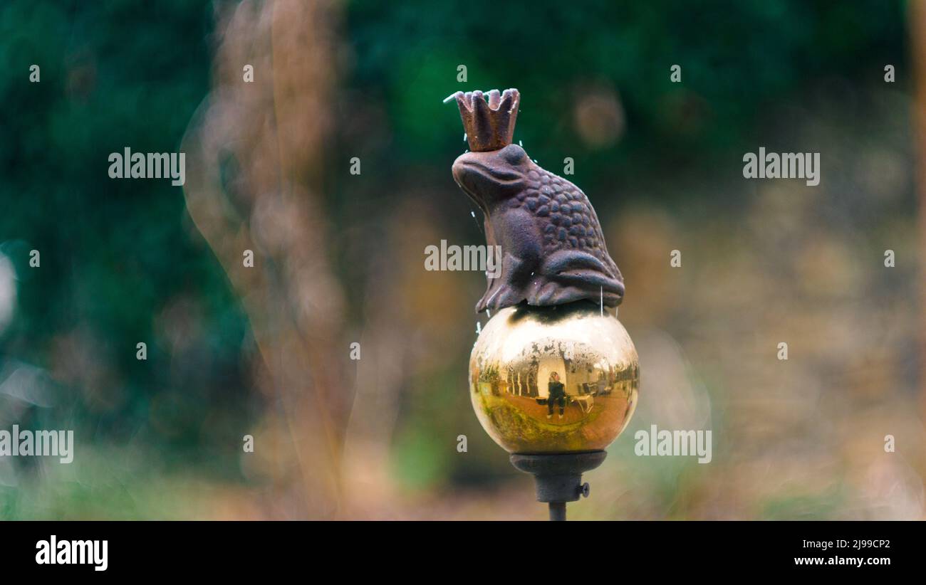 The frog prince stands on a golden sphere Stock Photo - Alamy