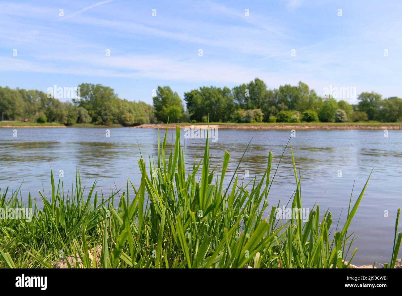 Grass near Dutch river the IJssel Stock Photo - Alamy