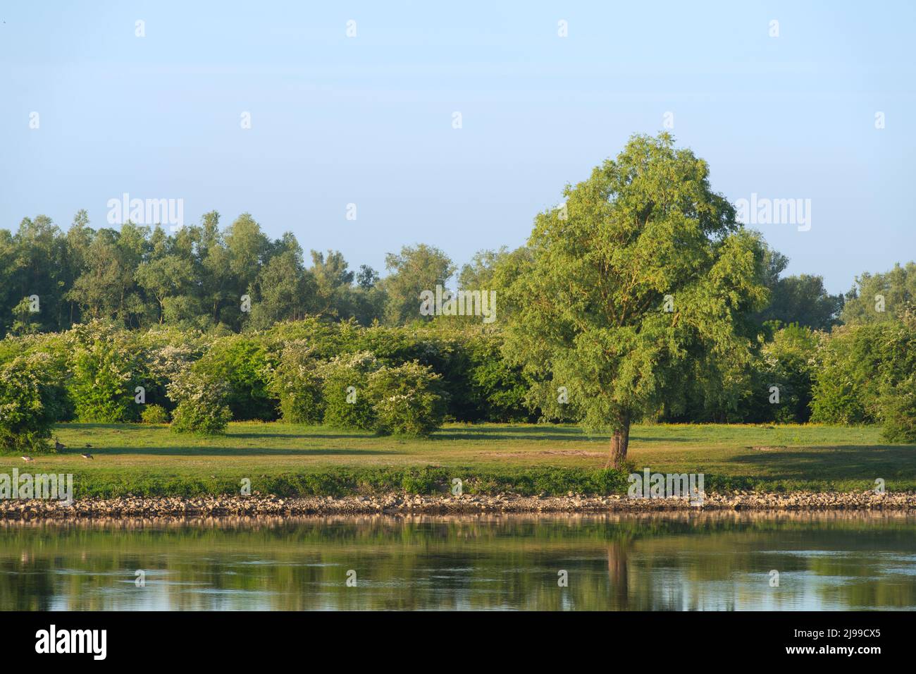 Beautiful view ijssel river hi-res stock photography and images - Alamy