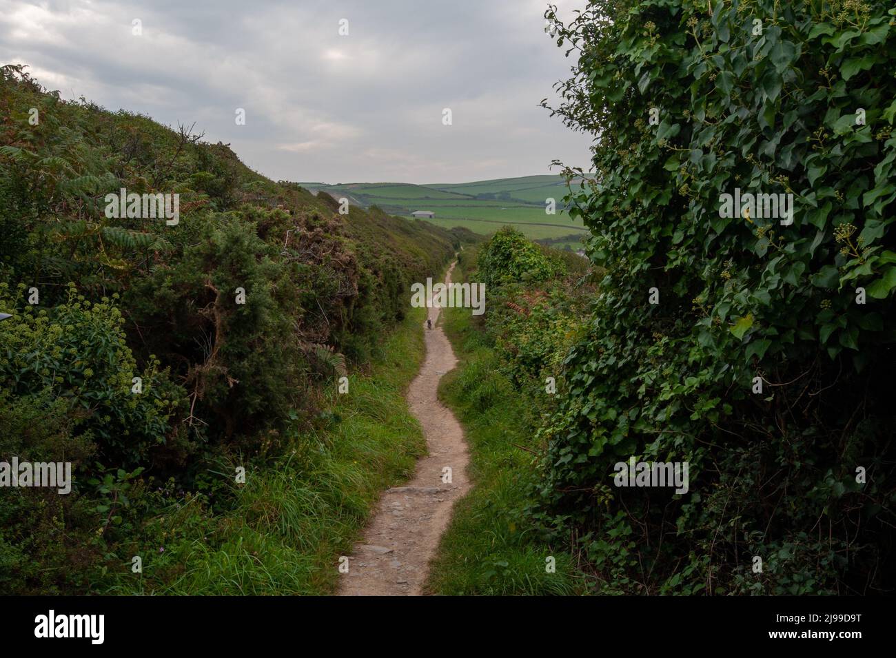 Footpath foot path foot path hi-res stock photography and images - Alamy